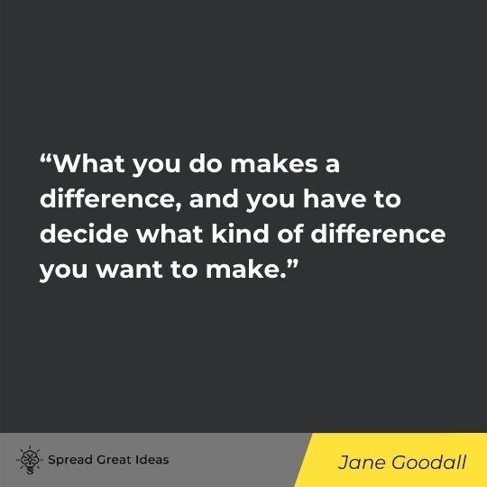 Community Quotes: The Importance of Community Building