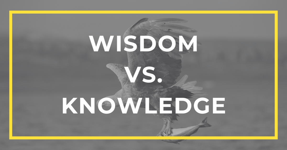 Wisdom vs. Knowledge: How To Guarantee Success In The Digital Age